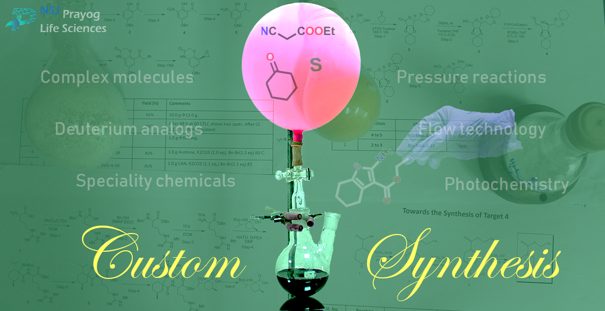 Custom Synthesis - nsj prayoglife
