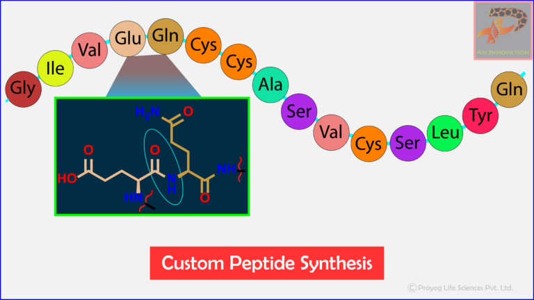 Peptides Synthesis - nsj prayoglife